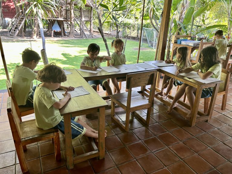 Primary School - Amed Honeycomb School